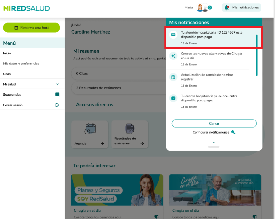 Yanet Natalí García | QA Manual